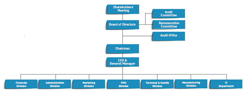 Corporate Governance | Ventec International Group